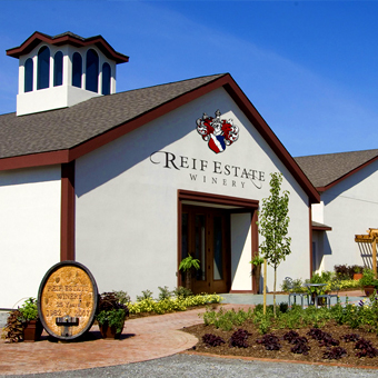 Cellar Door Wine Experience - #1 Rated Niagara Wine Tour Company